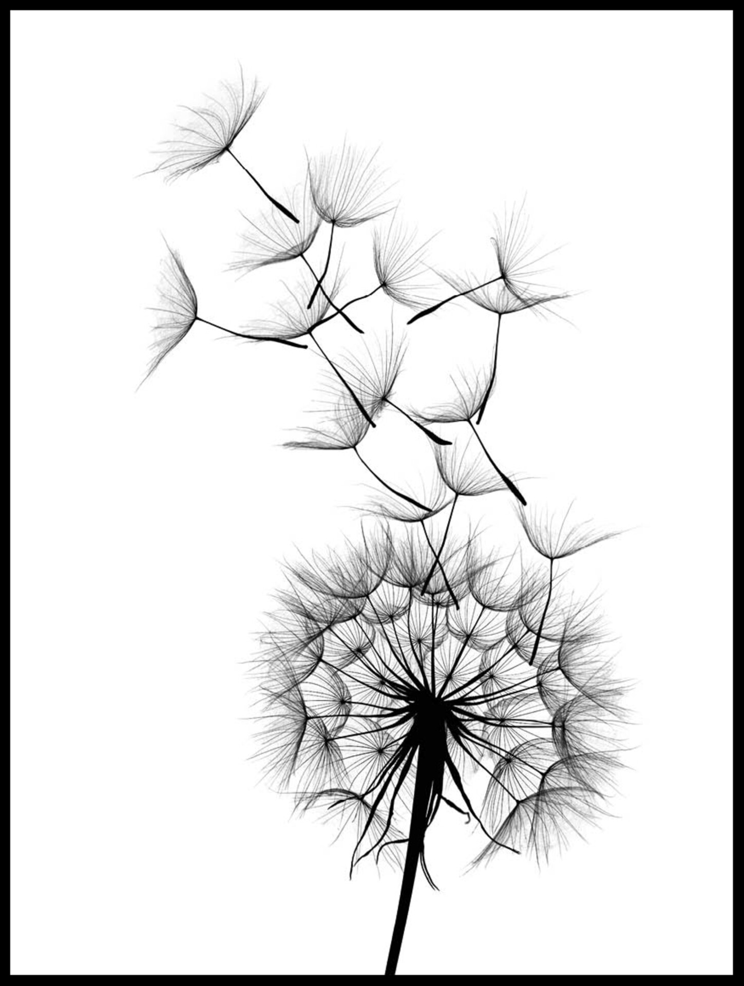 Maskros Poster | Mio