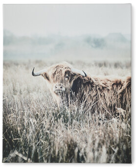 Tavlor med olika motiv och storlekar | Mio